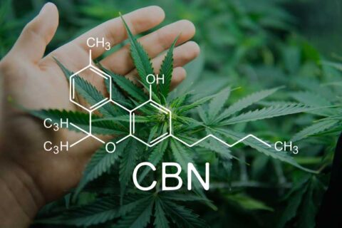What is CBN? | Health Circle